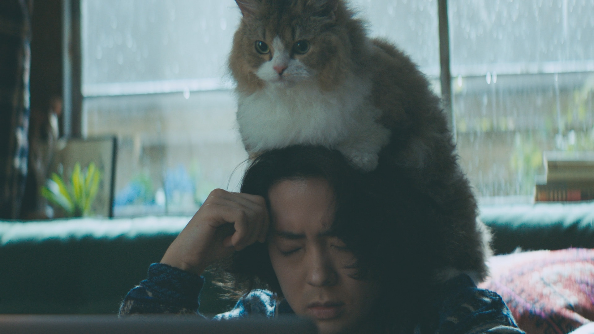 2月22日は頭痛の日！『大塚製薬』から頭痛啓発動画が公開 | ARETTO(アレット)