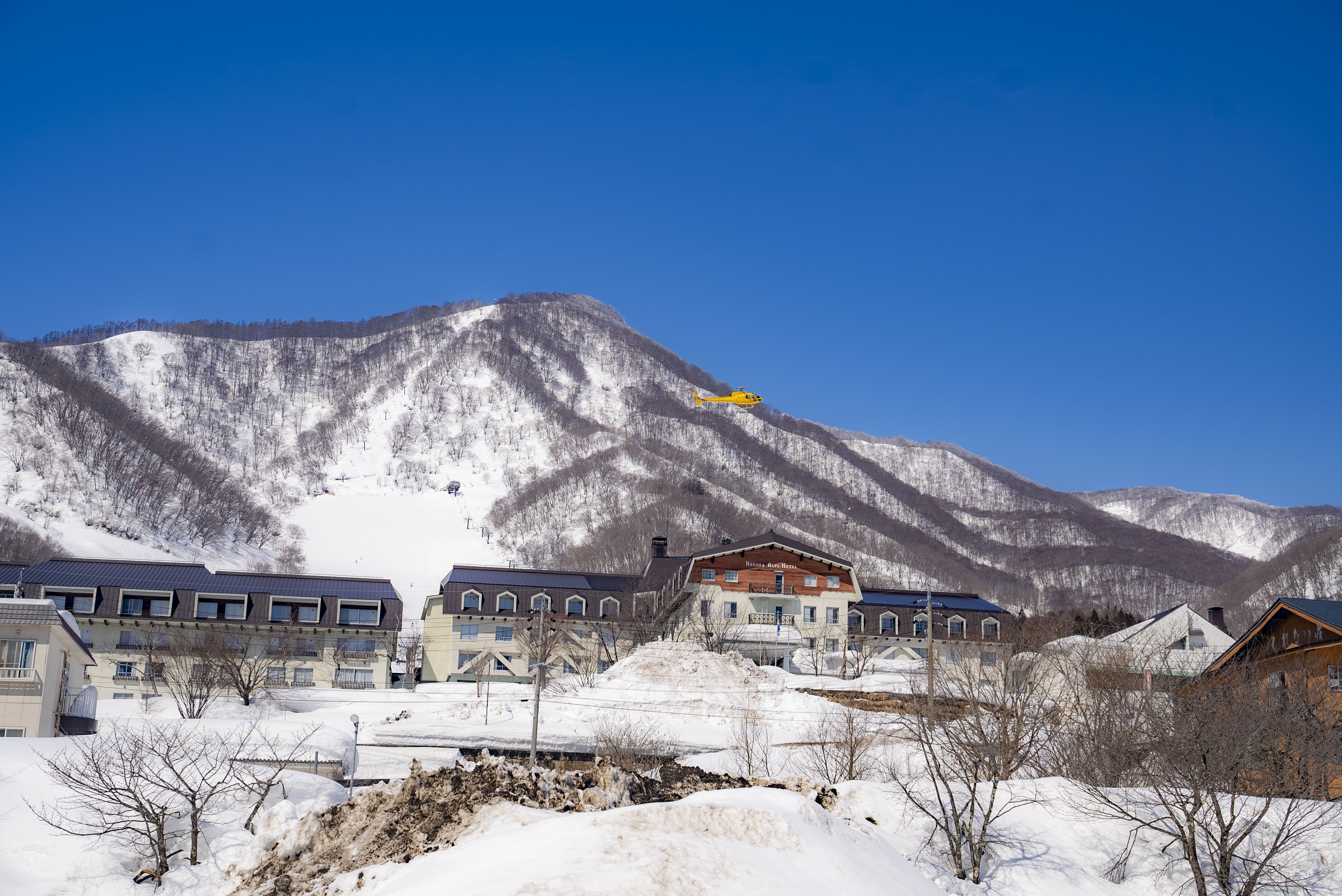 標高2110mから滑走するプランも！『白馬アルプスホテル』が3つの今季限定プランの販売を開始 | ARETTO(アレット)